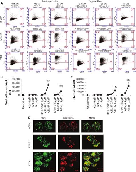Cellular Internalization Properties And Subcellular Localization Of