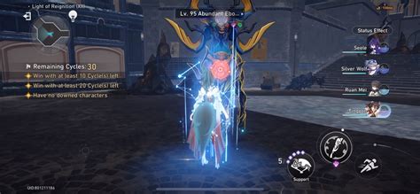 2 Cycle Clear E0s0 Seele With E1 Ruan Mei R Seelemains