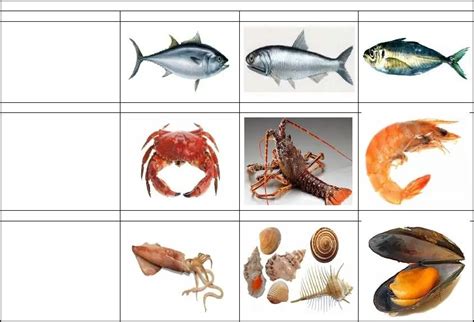 Especies Del Mar Peruano Pdf Mar Peruano Peces De Mar Peruanos