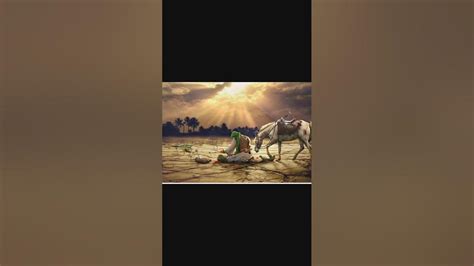 Sofikur Rahman22 New Video Youtube Shorts 🕋 Youtube