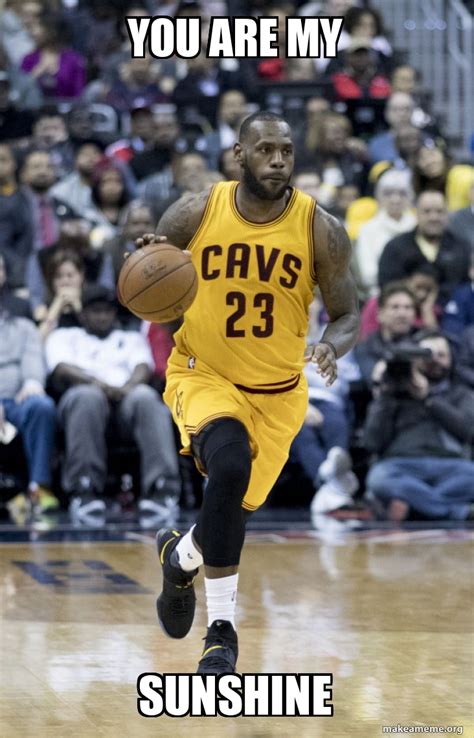 You Are My Sunshine Lebron James Meme Generator