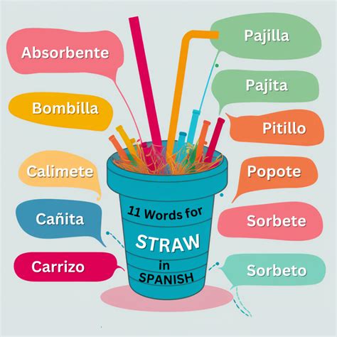 Infographic Spanish Word Straw Translations Lunasol Media