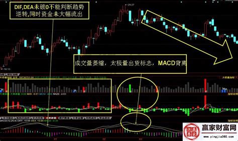 实战分析中macd指标的运用讲解 赢家财富网