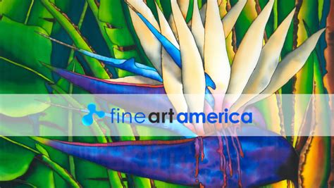 Fine Art America Sellers United Is Anyone Else Having Issues With