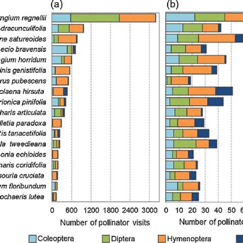 Interaction Frequency A And Interaction Richness B Of Pollinators Download Scientific