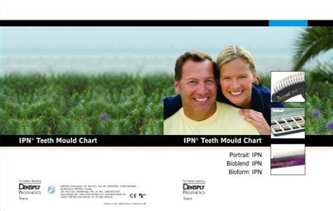 Ipn® Teeth Mould Chart Ipn® Teeth Mould Chart Removable