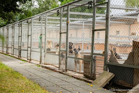 Radosław Witkowski Added A New Photo Radosław Witkowski