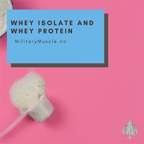 Exploring The Key Differences Whey Isolate Vs Whey Protein Military