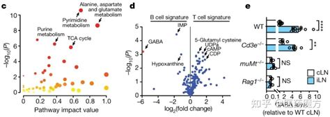 Nature：癌症免疫治疗新靶点——gaba 知乎