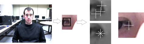 Given The Whole Image The Eye Area And The Searching Window Are Download Scientific Diagram