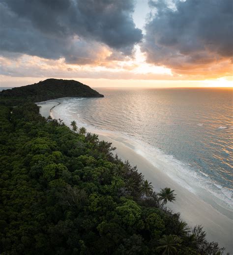 7 Best Cape Tribulation Tours And Activities In 2023 Reef And Daintree