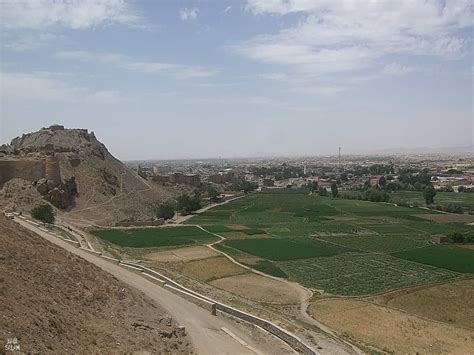 باغبان هنر وادب