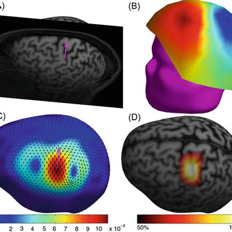 A A Simulated Point Like Current Dipole Shown On A Simulated Download Scientific Diagram