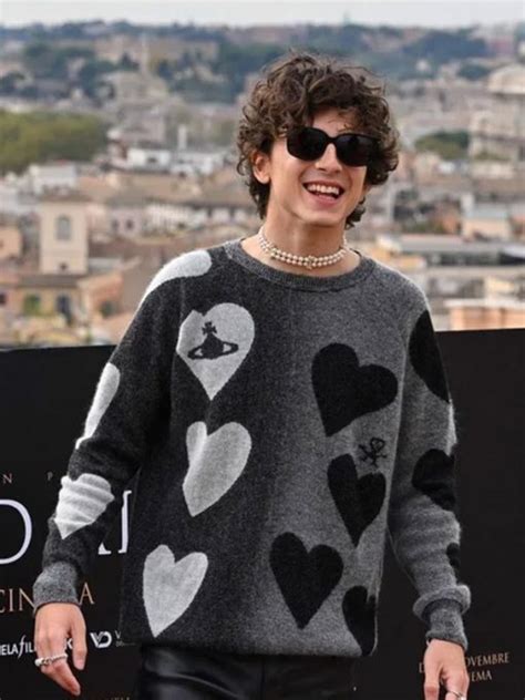 Timothée Chalamet Bones And All 2022 Hearts Sweater