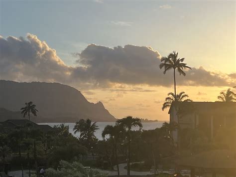 Aloha Lets Make This A Great Week 🌺 Anne Eliason