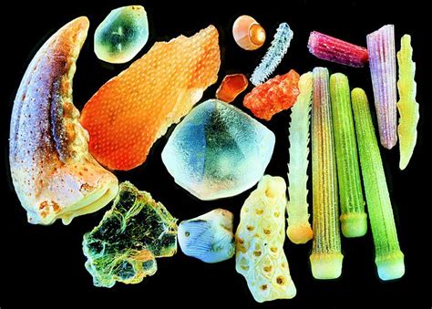 Desert Sand Under Microscope