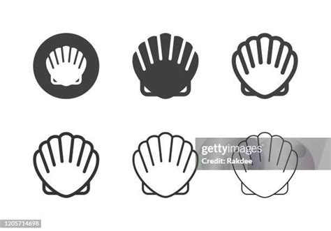 Scallop Shell Icon High Res Illustrations Getty Images