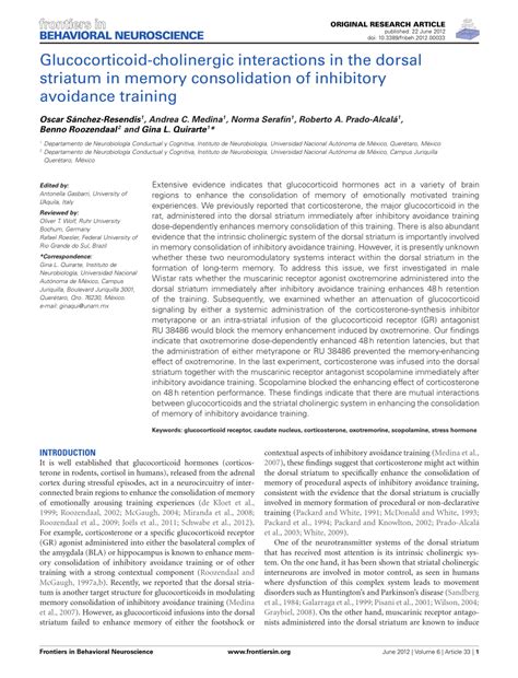 Pdf Glucocorticoid Cholinergic Interactions In The Dorsal Striatum In