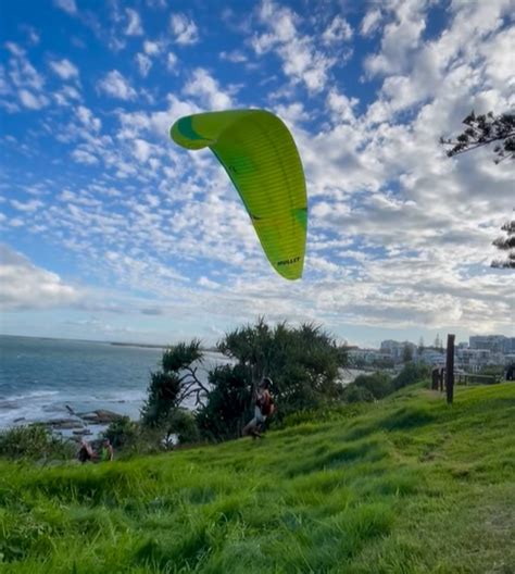 Flow Mullet Ginger Nomad And Ginger Air