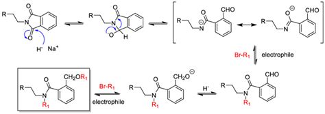 Mécanisme De Formation Du Sous Produit Du Phtalimide Proposé Par Meng