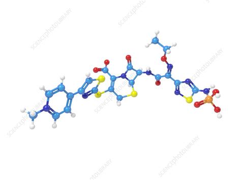 Ceftaroline Antibiotic Molecule Stock Image C028 4955 Science