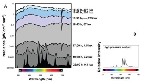 What Is The Ecological Impact Of Light Pollution Encyclopedia Of The