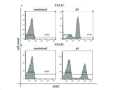 Cd19cd5 Positive B Cll Cells Isolated From Cll1c Month 8 Panel A