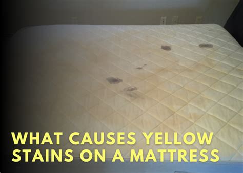 What Causes Yellow Stains On A Mattress Sleep Savvy
