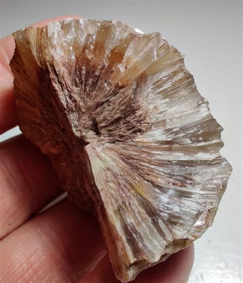 Fluorescent Barite Half Nodule From Mexico 135 Grams 4636483243