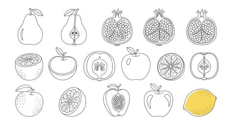 Fruit Outline Template Vector Art Icons And Graphics For Free Download