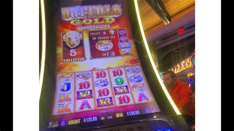 Buffalo Gold Collection Triple Sunset Great Bonus Youtube