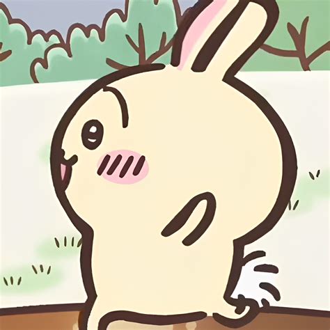 Usagi ♡ Chiikawa Icon Foto De Referencia Arte