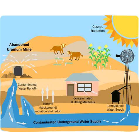 Examples Of Environmental Contaminants At Robert Towner Blog