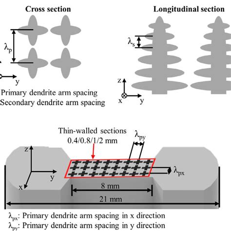 Schematic Illustration Of The Determination Of A Primary And Secondary