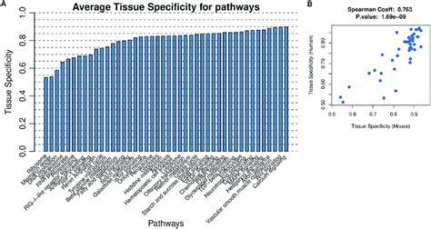 Tissue Specificity Of Gene Expression Dynamics Of 40 Biological Download Scientific Diagram