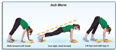Inchworm Flat Tummy Workout Tummy Workout Inchworm Exercise