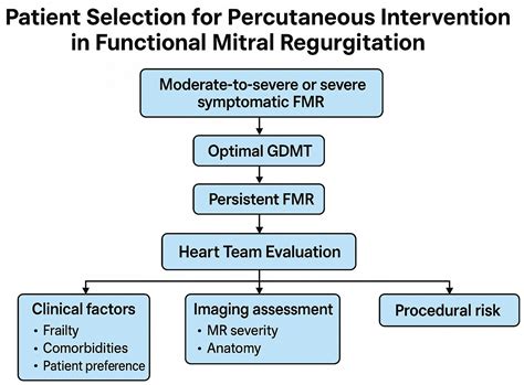 Functional Mitral Regurgitation In The Transcatheter Era Diagnostic