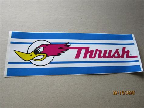 Thrush Muffler Bird