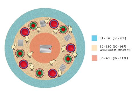 Brooding Temperature Recommendations Hybrid