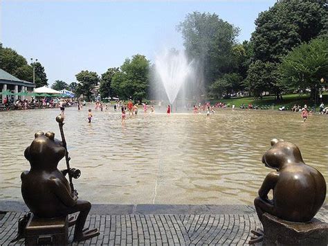 The Frog Pond In The Boston Common Is Fun For All Ages Whether You Are