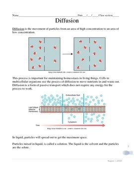 Hands On Diffusion Activities PDF Format By Booann TpT