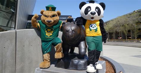 Alberta Bear Faculty Of Kinesiology Sport And Recreation