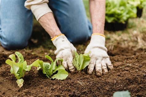 Growth Mindset Cultivation For Personal Development The Seek Blog