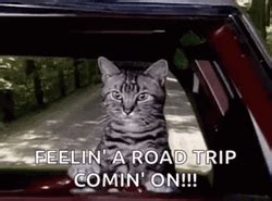 Road Trip S Download And Share