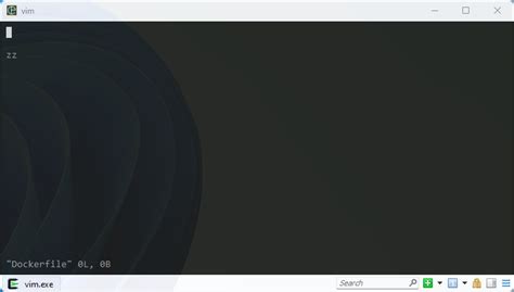 Vim Shows Empty Screen In Oh My Zsh On Cygwin Super User
