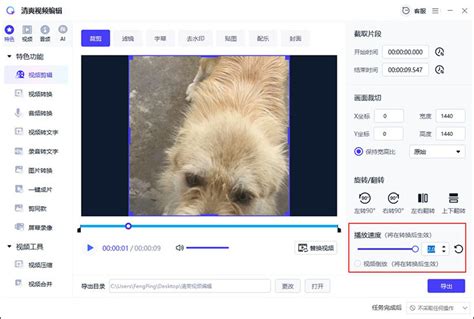 视频怎么加快播放速度？视频2倍速播放三个软件解决