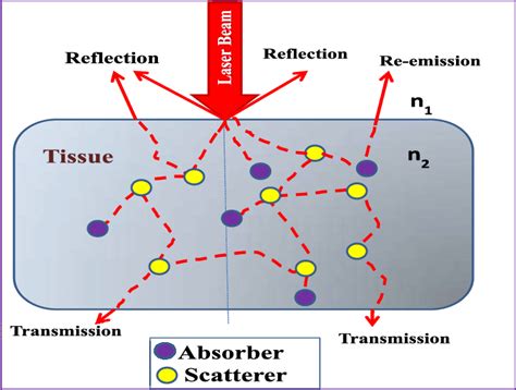 Schematic Representation For Laser Tissue Interaction Download