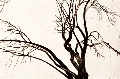 Joan Barbara Mount Gallery