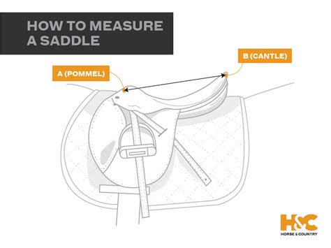 A Beginners Guide To Saddles