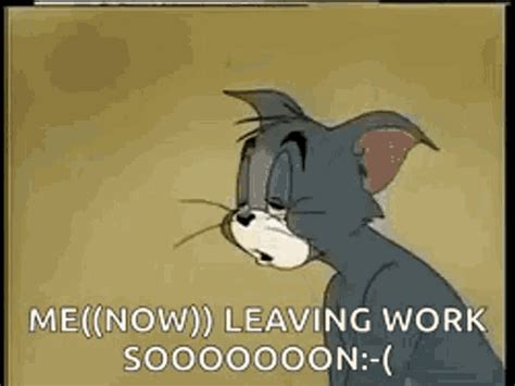 Sleepy Tom And Jerry  Sleepy Tom And Jerry Tom The Cat Scopri E